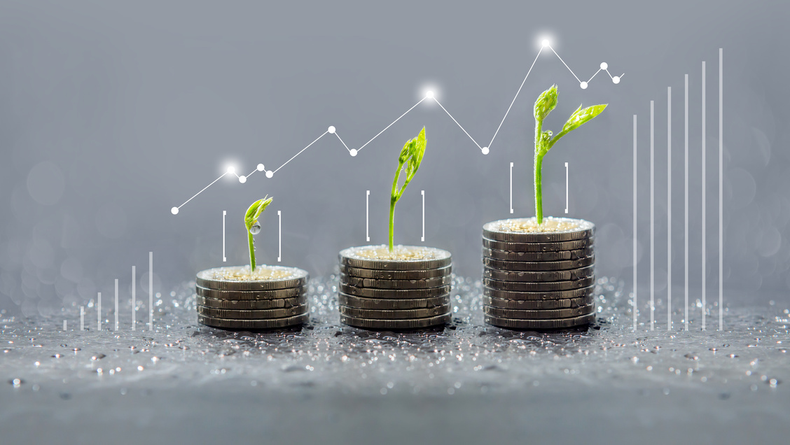 WCEF: Accelerator session webinar on investing in the circular bioeconomy | Bio-based Industries ...